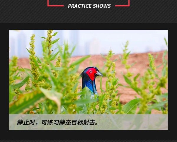 Pheasant Head Target For Slingshot,Enhanced Version | Chinese Slingshot ...